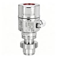 China FMB50-2160/0 Hydrostatic Level Measurement Deltapilot FMB50 for sale