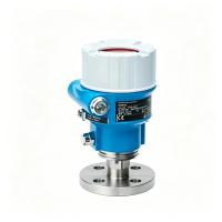 China FTE20-16C0/0 Point Level Switch Soliswitch FTE20 Rotary Paddle Switch with IP66/68 Protection and Flange DN50 Connection for sale
