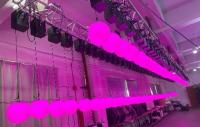 China ball Light source: 42 5050RGB three-in-one for sale