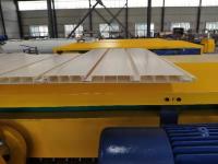 China Twin Screw PVC Decorative Gusset Sheet Extrusion Line 200kg/H for sale