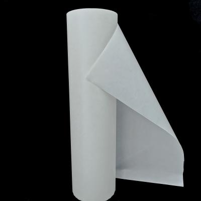 China Fast Curing Time TPU Translucent Hot Melt Adhesive Film For Cast Leather for sale