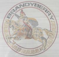 China TPU Pattern Design 130 Degree C Heat Transfer Glitter Vinyl For Clothing for sale