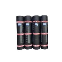 China Torch Applied SBS Waterproof Membrane 3-5mm Elastic Asphalt Roll for Flat Roof Building Waterproofing for sale