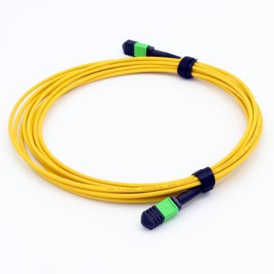 China 12F 16F 24F 48F MPO MPO SM Fiber Patch Cord 3.0mm LSZH G657A1 Super Low Insertion Loss for sale