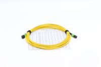 China 12F 16F 24F 48F MPO MPO SM Fiber Patch Cord 3.0mm LSZH G657A1 Super Low Insertion Loss for sale