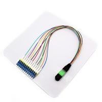 China 12 Core MPO LC Fanout 0.9mm Fiber Optic Patch Cable 33cm For MPO LC LGX Module Cassettes for sale