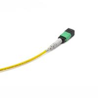 China 12 Fibre MTP Trunk Cable SM USconec MTP / APC Female To MTP  / APC Female G657A2 Patch Cable LSZH Yellow for sale