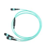 China 100Gbps 24F 50/125 OM3 LSZH MPO Standard loss 24F MPO (Female) to 2 x 12F MPO (Female) 50/125 OM3 trunk cable LSZH TYPE for sale