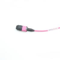 China 2m Polarity Changeable Senko MPO Trunk Cable Multimode 12F Fiber Optic Patch Cord for sale