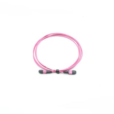 China 2m Polarity Changeable Senko MPO Trunk Cable Multimode 12F Fiber Optic Patch Cord for sale