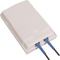 China 2 Port Fiber Face Plate IP45 FTTH Indoor Wall Mounted 2 Port FTTH Fiber Socket with adapter pigtail for sale
