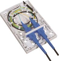 China 2 Port Fiber Face Plate IP45 FTTH Indoor Wall Mounted 2 Port FTTH Fiber Socket with adapter pigtail for sale