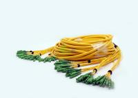 China 48cores Fiber breakout patch cord E2000 APC - E2000 APC SM 9 / 125 fanout 2 .00mm 0.5M tail ,20M LSZH  Low loss 0.3dB for sale