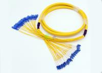 China Yellow 24 Cores Fiber Optic Patch Cables , LC - SC Fiber Patch Cable 2.0mm Fanout Legs for sale