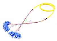 China 2 Meters Mini Fiber Optic Patch Cables SC UPC - SC UPC 12 Cores OS2 Fanout 0.9mm for sale