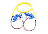 China 2 Meters Mini Fiber Optic Patch Cables SC UPC - SC UPC 12 Cores OS2 Fanout 0.9mm for sale