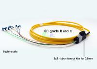 China 4F - 12F Ribbon fanout 900um Fiber optic pigtail LC OS2 Single mode with 0.9mm tail 0.5M LSZH yellow with OEM service for sale