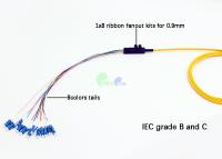 China 4F - 12F Ribbon fanout 900um Fiber optic pigtail LC OS2 Single mode with 0.9mm tail 0.5M LSZH yellow with OEM service for sale