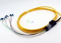China 4F - 12F Ribbon fanout 900um Fiber optic pigtail LC OS2 Single mode with 0.9mm tail 0.5M LSZH yellow with OEM service for sale