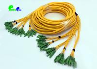 China E2000 - E2000 48F Fiber Optic Patch Cables OS2 Multifiber Single Mode Breakout for sale