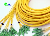 China E2000 - E2000 48F Fiber Optic Patch Cables OS2 Multifiber Single Mode Breakout for sale
