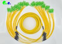 China PVC/LSZH Jacket Fiber Optic Patch Cables SC APC - SC APC 72 Fibres Single Mode Breakout for sale