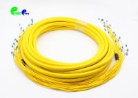 China 24F LC - LC Fiber Optic Patch Cord SM  Pre Terminated Assembly Staggered 2.0mm for sale