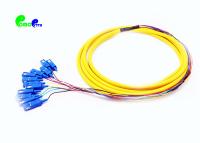 China Fiber Optic Pigtail SC SM OS2 9 / 125 OM1 62.5 / 125 OM2 OM3 OM4  OM5 50 / 125 Loose buffer , Tight buffer PVC/ LSZH for sale