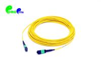 China 8 - 24cores Mtp cable / MPO Trunk cable SM OS2 9 / 125 OM3 OM4 OM5 50 / 125 for 40G / 100G  / 400G Data center cabling for sale
