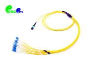 China 8 - 24cores Mtp cable / MPO Trunk cable SM OS2 9 / 125 OM3 OM4 OM5 50 / 125 for 40G / 100G  / 400G Data center cabling for sale