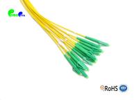 China 12F micro fanout  Fiber Optic Patch Cord LC APC - LC APC  SM OS2 main cable 3.0mm OD  fanout 2.0mm Cable OD IEC Grade B1 for sale