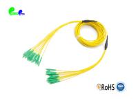 China 12F micro fanout  Fiber Optic Patch Cord LC APC - LC APC  SM OS2 main cable 3.0mm OD  fanout 2.0mm Cable OD IEC Grade B1 for sale