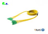 China 12F micro fanout  Fiber Optic Patch Cord LC APC - LC APC  SM OS2 main cable 3.0mm OD  fanout 2.0mm Cable OD IEC Grade B1 for sale