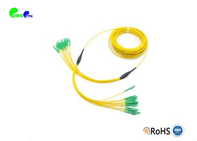 China 12F micro fanout  Fiber Optic Patch Cord LC APC - LC APC  SM OS2 main cable 3.0mm OD  fanout 2.0mm Cable OD IEC Grade B1 for sale