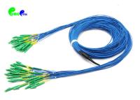 China 24F micro fanout  Fiber Optic Patch Cord LC APC - LC APC  SM OS2 main cable 3.0mm OD  fanout 2.0mm Cable OD IEC Grade B1 for sale