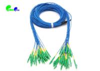 China 24F micro fanout  Fiber Optic Patch Cord LC APC - LC APC  SM OS2 main cable 3.0mm OD  fanout 2.0mm Cable OD IEC Grade B1 for sale