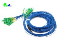 China 24F micro fanout  Fiber Optic Patch Cord LC APC - LC APC  SM OS2 main cable 3.0mm OD  fanout 2.0mm Cable OD IEC Grade B1 for sale