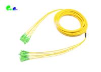 China Breakout Fibre Patch Leads  8F SC APC - SC APC  Single Mode 9 / 125 Fanout 2.0mm PVC/LSZH Jacket Customized for sale