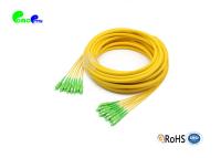 China Breakout Fibre Patch Leads  8F SC APC - SC APC  Single Mode 9 / 125 Fanout 2.0mm PVC/LSZH Jacket Customized for sale
