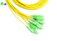 China 16 Cores Fiber Optic Patch Cord SC APC to SC APC SM Breakout 2.0mm LSZH Yellow Jacket for sale