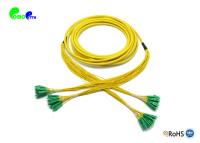 China 24Fibers Pre-terminated LC APC To LC APC Fiber Optic Patch Cables OS2 G652D 9 / 125μM Bunch Fanout For Vertical cabling for sale