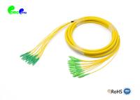 China 12cores Pre-terminated Fiber Patch Cable  LC APC - SC APC LSZH SM with Fanout 2.0mm Tails LSZH for sale