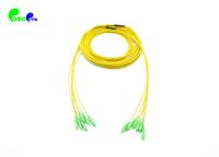 China 6cores Pre - Terminated SC APC Fiber Optic Patch Cables SM OS2 BIF G657A2 Breakout 2.0mm Tail for sale