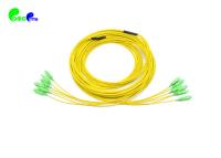 China 6cores Pre - Terminated SC APC Fiber Optic Patch Cables SM OS2 BIF G657A2 Breakout 2.0mm Tail for sale