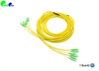 China 6cores Pre - Terminated SC APC Fiber Optic Patch Cables SM OS2 BIF G657A2 Breakout 2.0mm Tail for sale