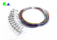 China 12F 12 Color 0.9mm FC UPC 9/125μm Fiber Optic Pigtail 900μm Set OS2 G657A1 PVC Jacket 1.5M loose buffer Easy to strip for sale