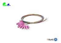 China SC OM4 2m  Fiber Optic Pigtail  900um 12F 12 Colors OM4 50 / 125μm Loose buffer LSZH easy to strip for sale