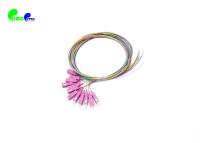 China SC OM4 2m  Fiber Optic Pigtail  900um 12F 12 Colors OM4 50 / 125μm Loose buffer LSZH easy to strip for sale