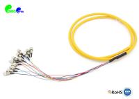 China Pre-terminated Fanout FC Fiber Optic Pigtail 12F 12 Color 9 / 125 μm OS2 G657A1 fanout 0.9mm tail LSZH Yellow for sale