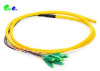 China Fiber Optic Pre - terminated Pigtail LC APC 12 Cores Single Mode Bunch fanout 0.9mm 1.5m LSOH for sale